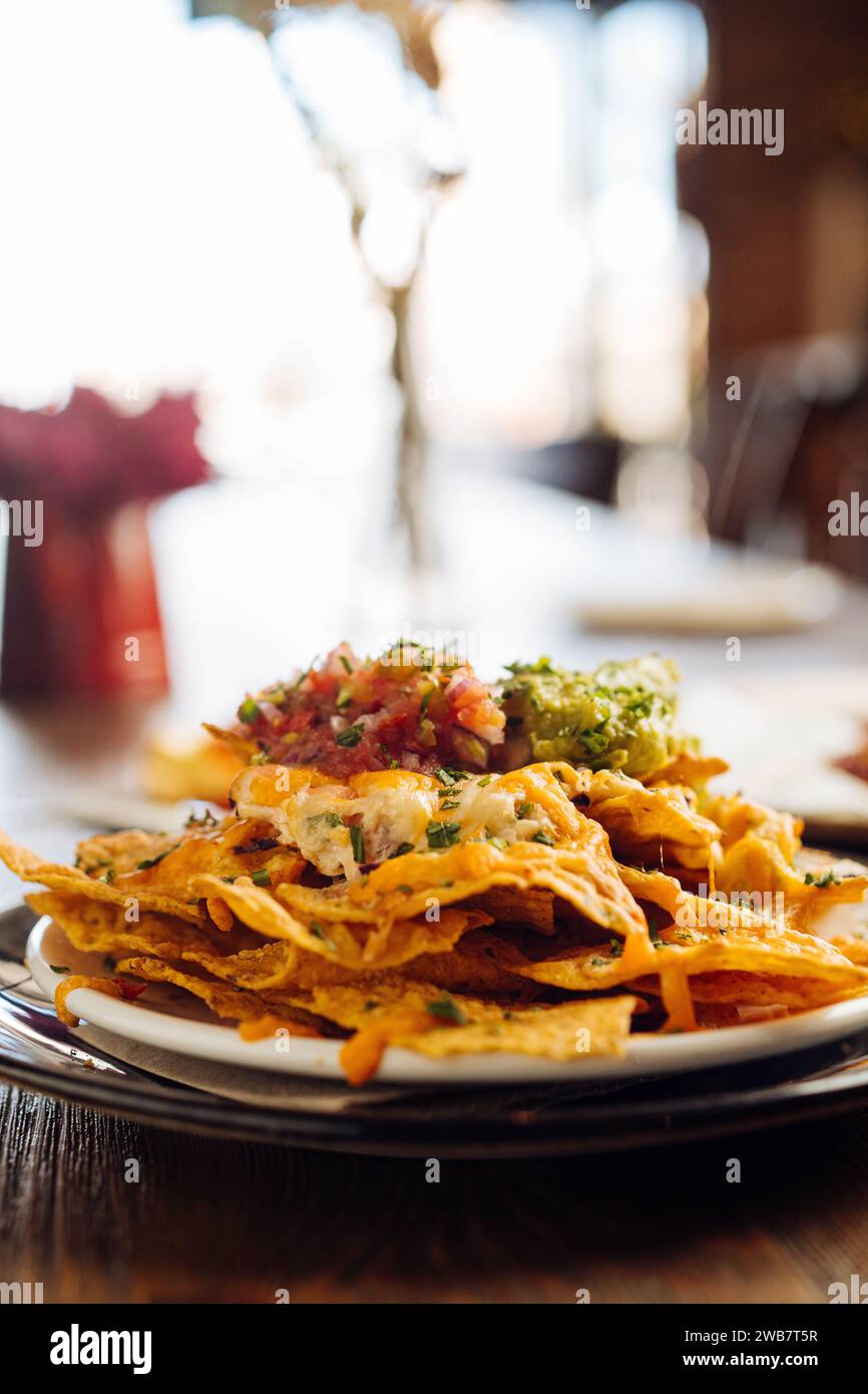 Delicious nachos with salsa and guacamole Stock Photo - Alamy