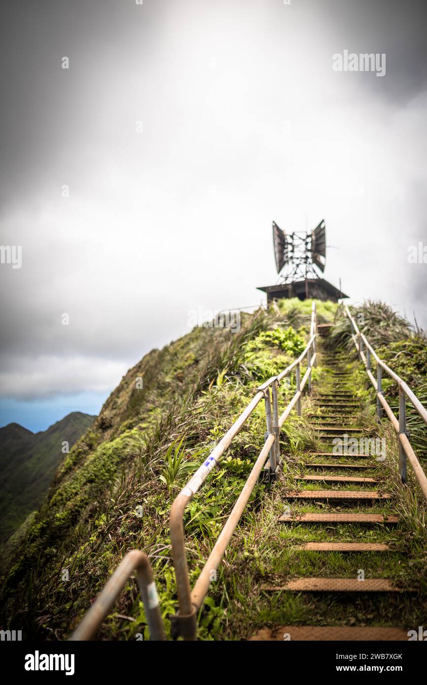 Haiku stairs of oahu hawaii hi-res stock photography and images - Alamy
