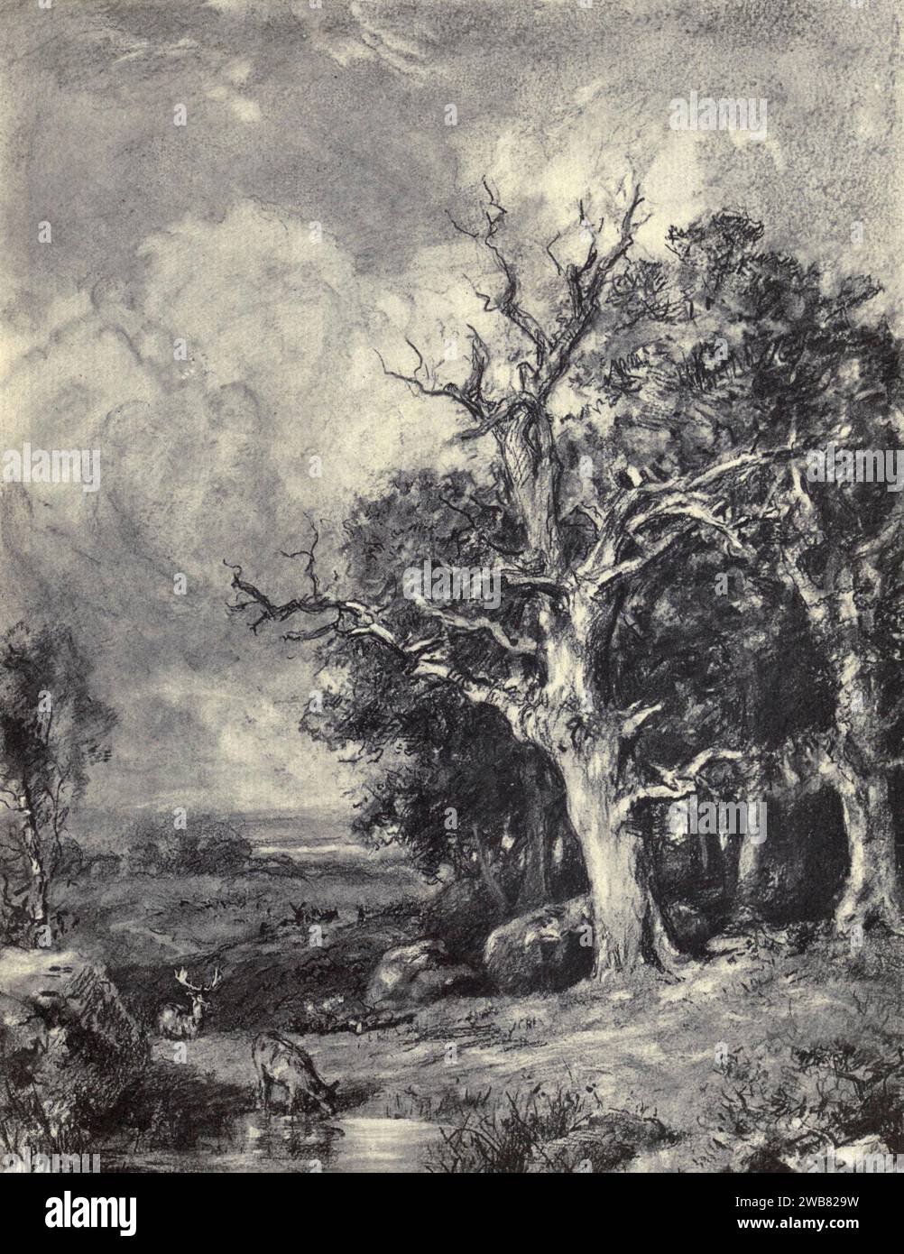 A Glade in the Forest of Arden. — As You Like It. by Sir E. A. WATERLOW ...