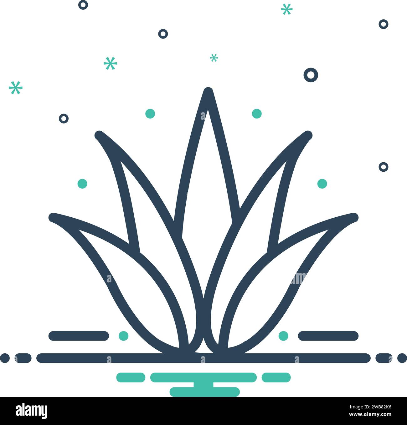 Agave plant icon hi-res stock photography and images - Alamy