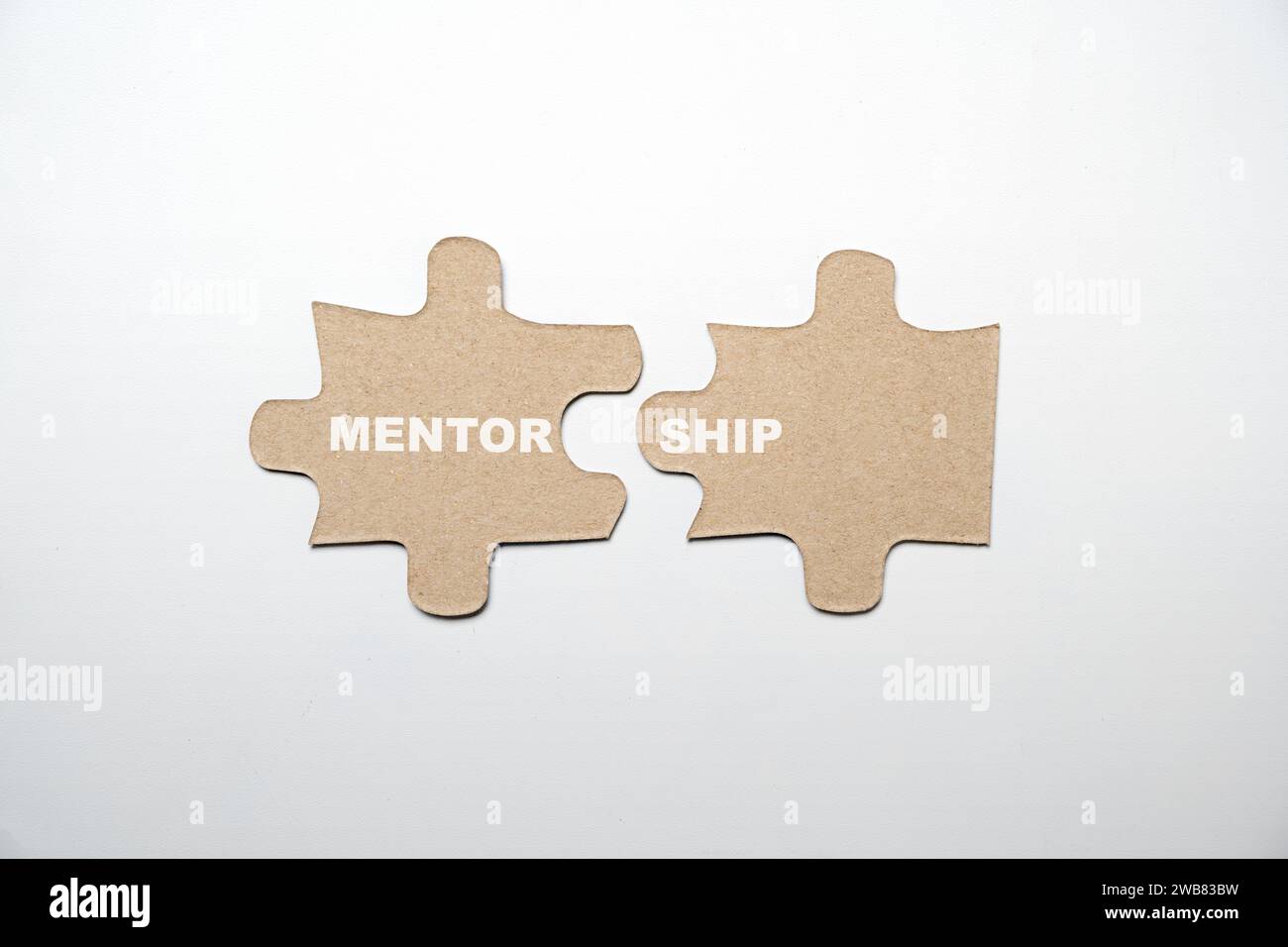 Two pieces of a jigsaw puzzle with Mentorship text over a white ...