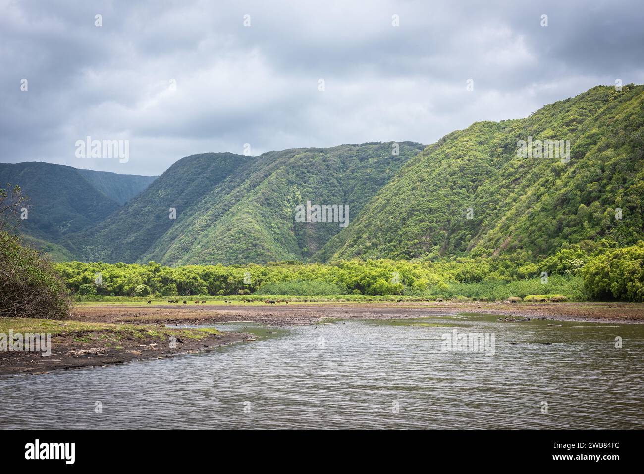 Big Island Hawaii, Waipió Valley Stock Photo - Alamy
