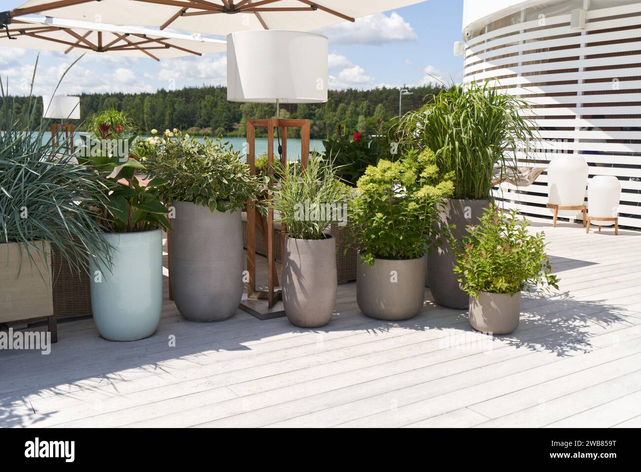 Decorating the terrace with outdoor flowers in large pots Stock Photo ...