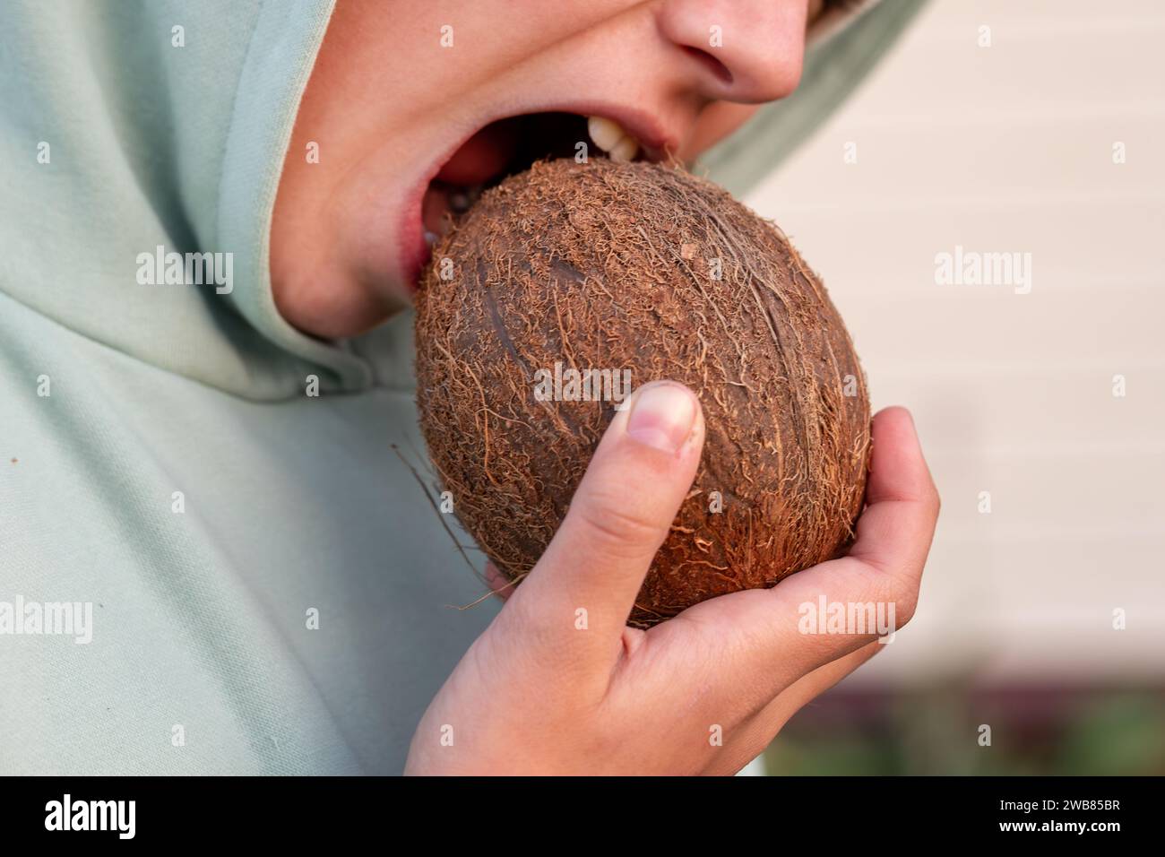 Eating hard coconut. strong white teeth bite a coconut . An open mouth ...