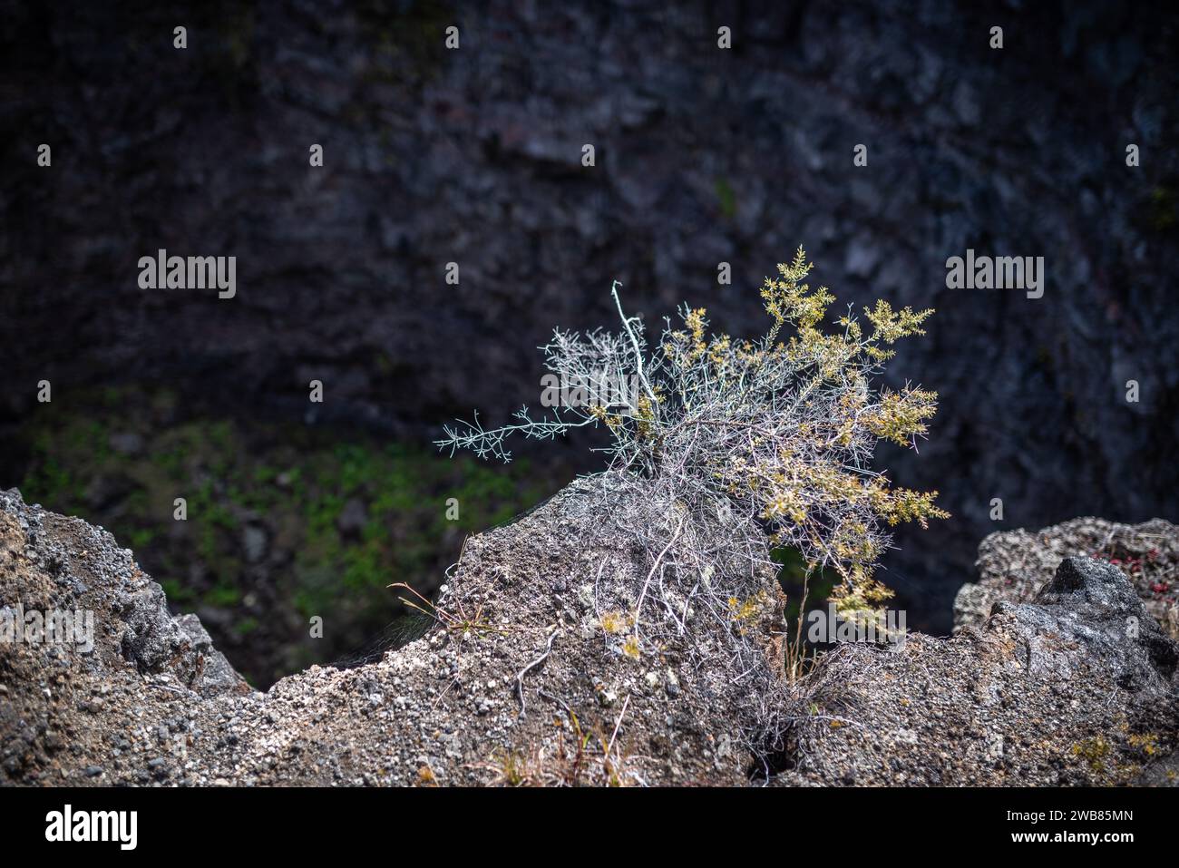 Big Island Hawaii, chain of craters road Stock Photo - Alamy