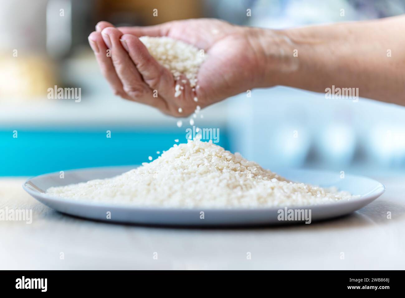 Rice paddy falling from hand hi-res stock photography and images - Alamy