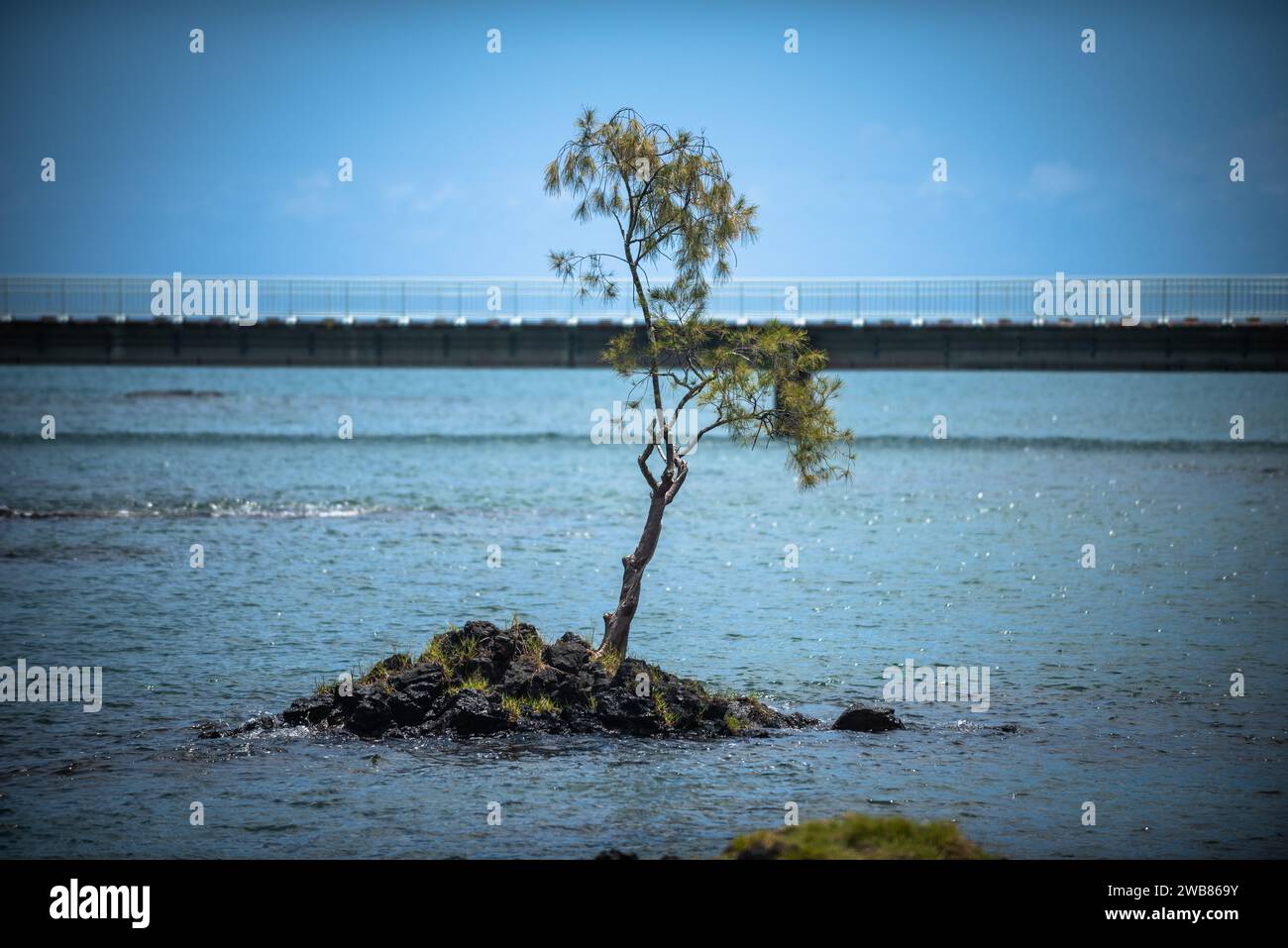 Big Island Hawaii, Hilo, Coconut Island Stock Photo - Alamy