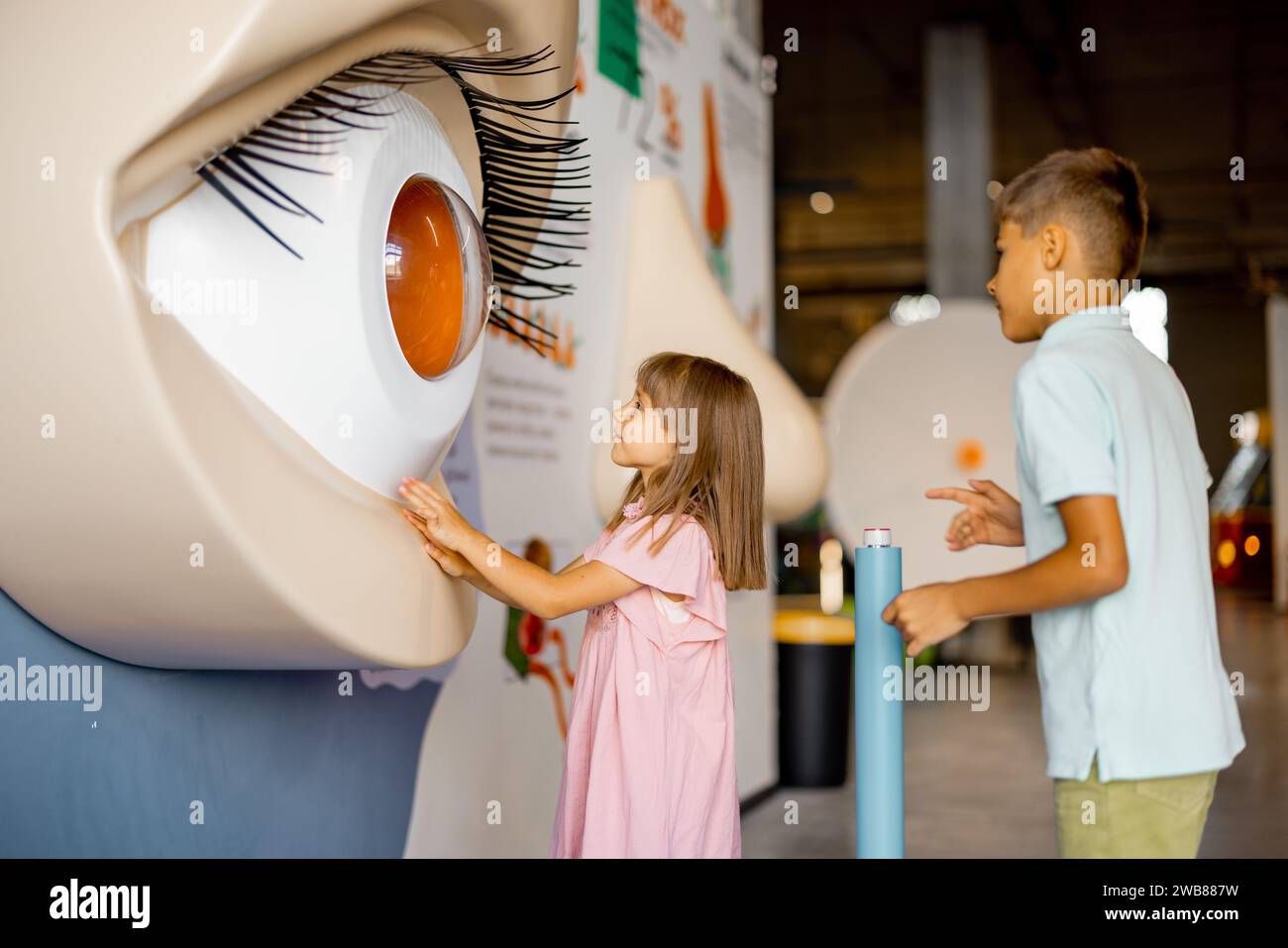 Kids look on a big eye model Stock Photo - Alamy