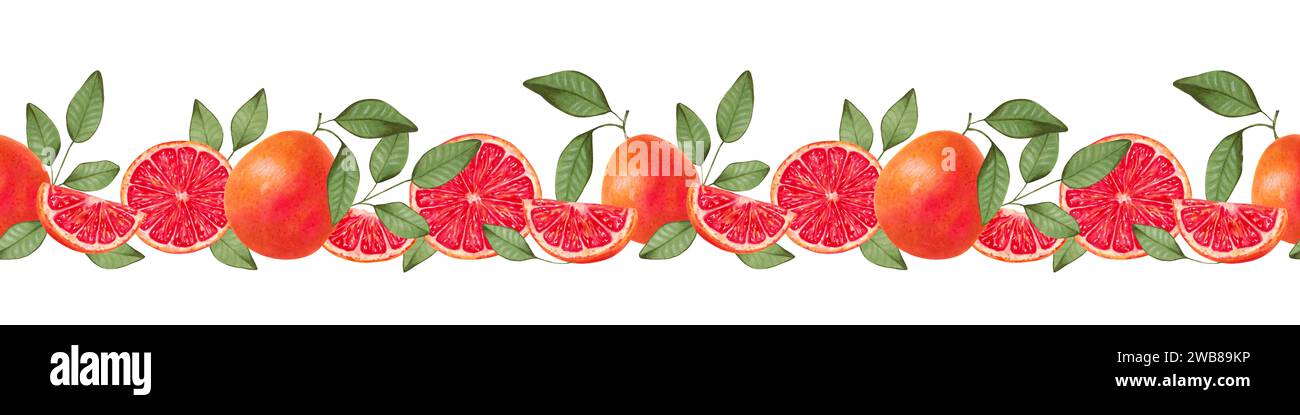 Seamless horizontal grapefruit border. Whole and sliced fruit with natural product leaves for ...