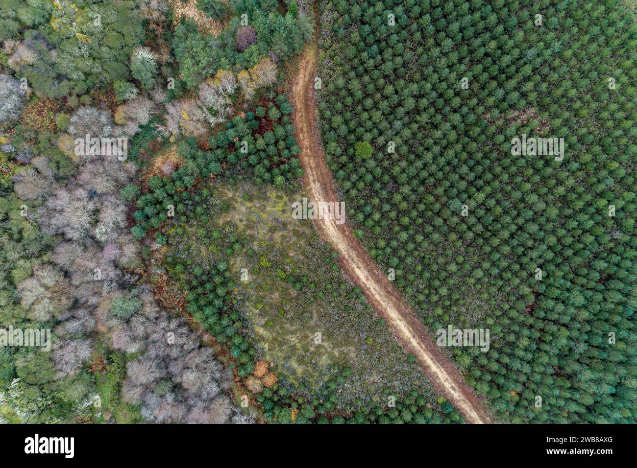 Forest background aerial hi-res stock photography and images - Alamy