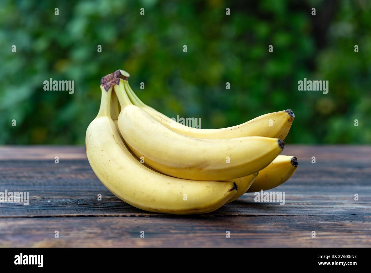 Bunch of bananas on green background. harvesting bananas in the garden ...