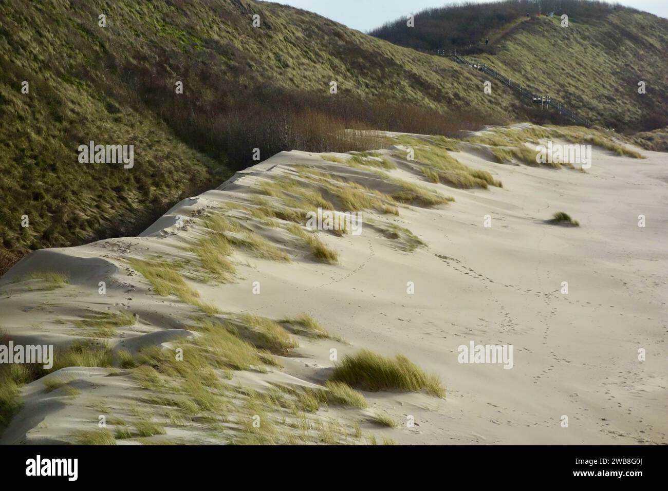 A beach scene featuring dunes with grass Stock Photo - Alamy