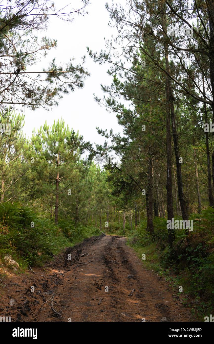 Dirt road trail route hi-res stock photography and images - Alamy