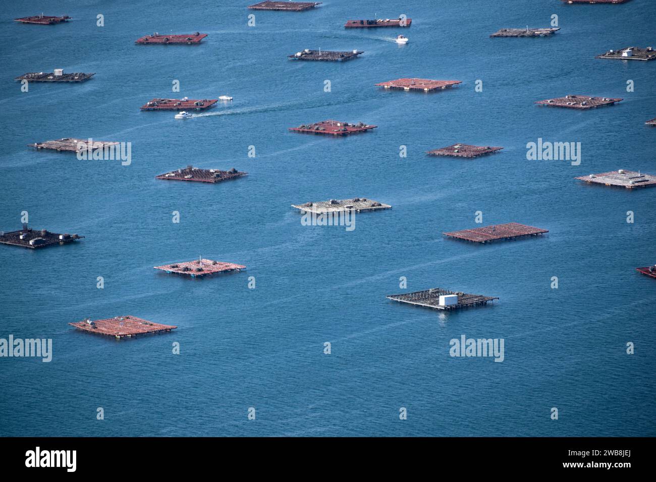 Aerial view of the mussels aquaculture rafts in Galicia - Spain Stock ...