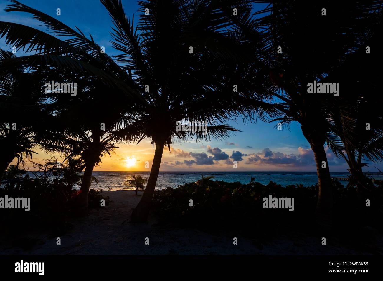 Beautiful caribbean landscape photo taken in Mahahual beach in Mexico ...