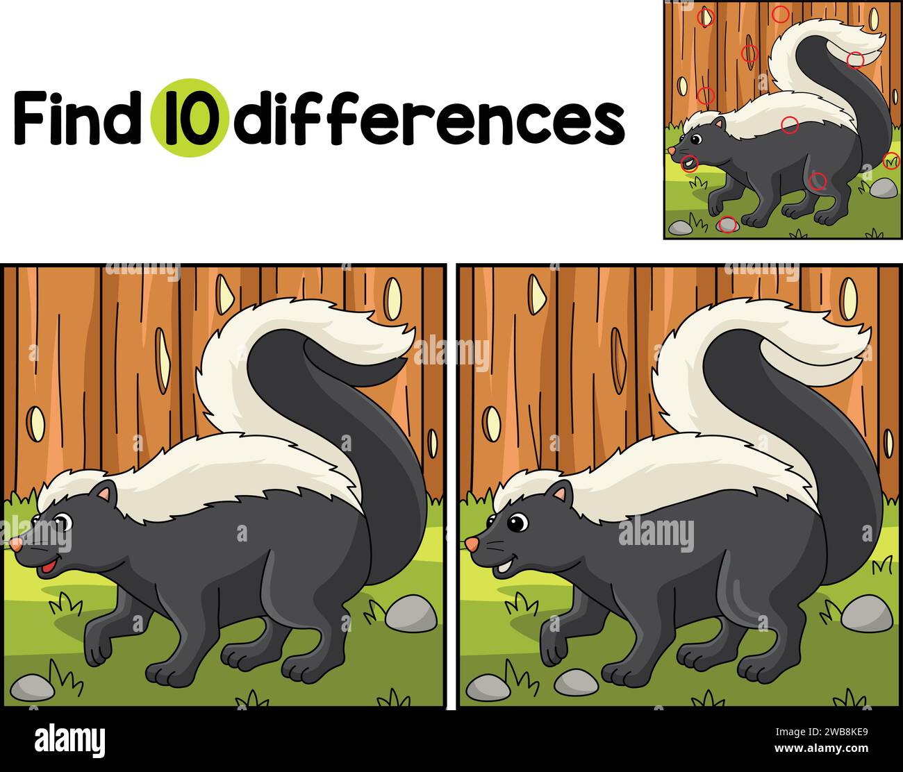 Skunk Animal Find The Differences Stock Vector Image & Art - Alamy