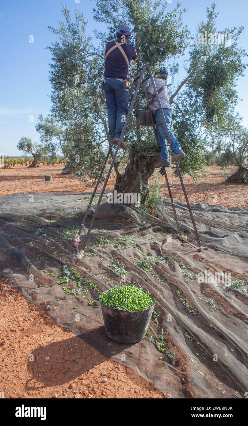 Mesa de trabajadores hi-res stock photography and images - Alamy