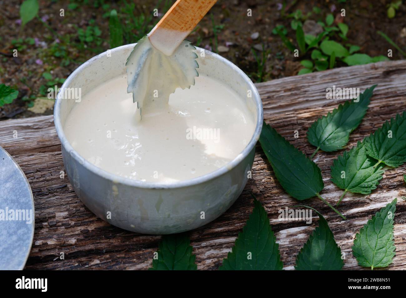 Brennnessel chips hi-res stock photography and images - Alamy