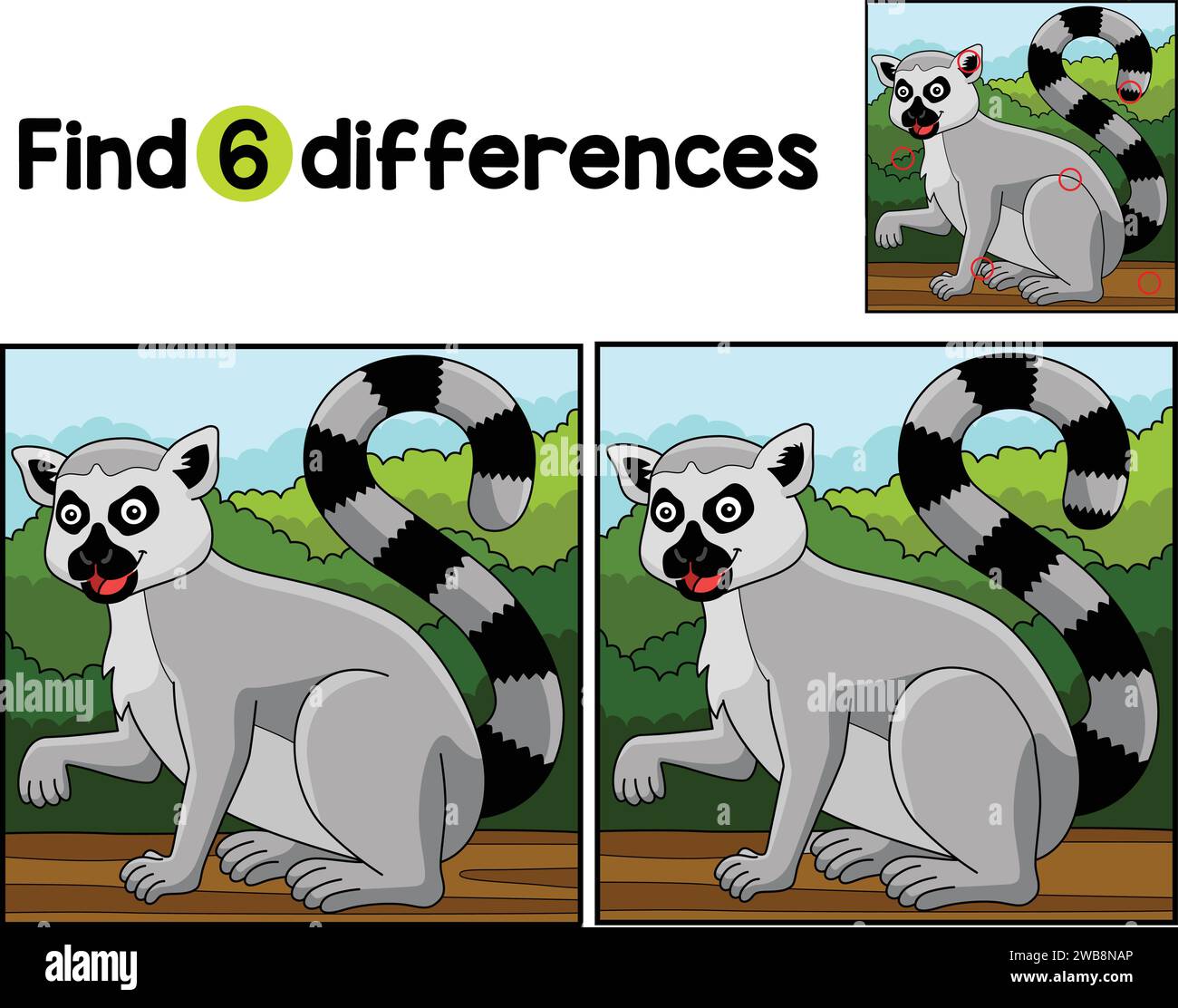 Katta Animal Find The Differences Stock Vector Image & Art - Alamy