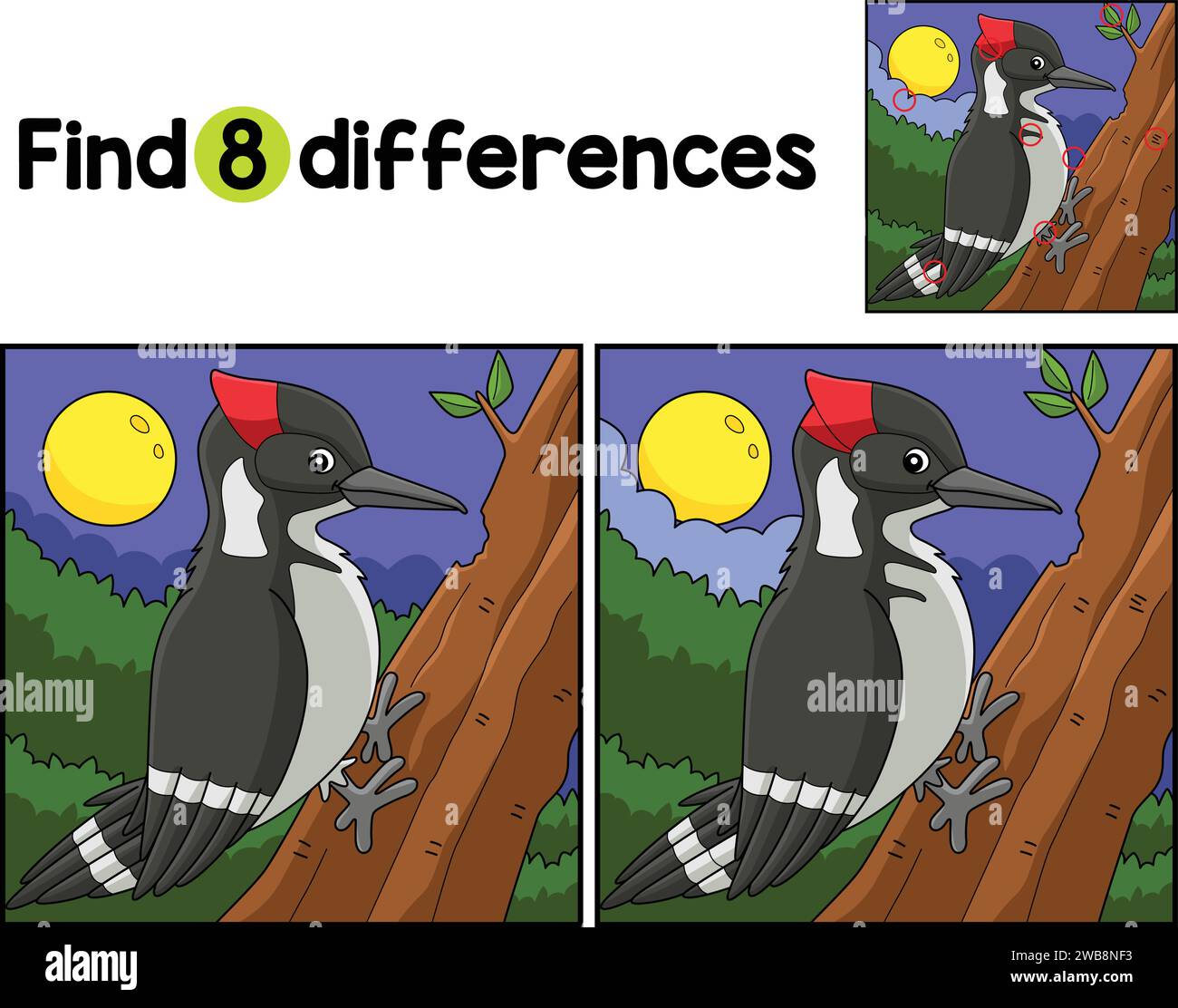 Woodpecker Bird Animal Find The Differences Stock Vector Image & Art ...
