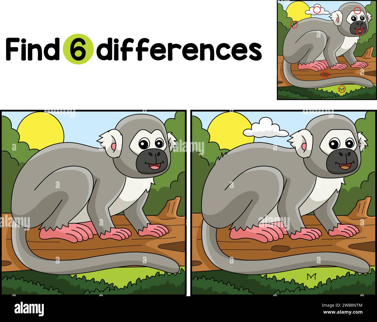 Squirrel Monkey Animal Find The Differences Stock Vector Image & Art ...