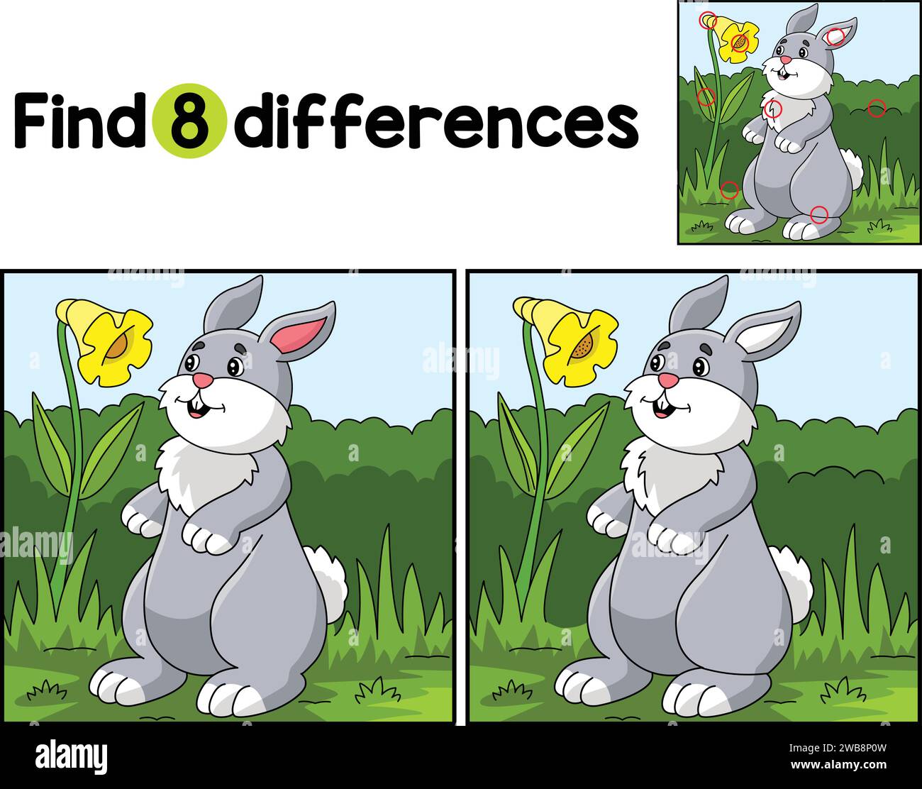 Rabbit Animal Find The Differences Stock Vector Image & Art - Alamy