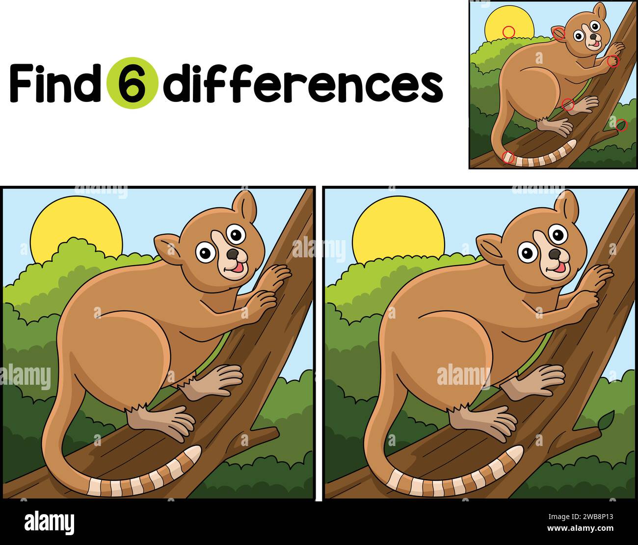 Mouse Lemur Animal Find The Differences Stock Vector Image & Art - Alamy
