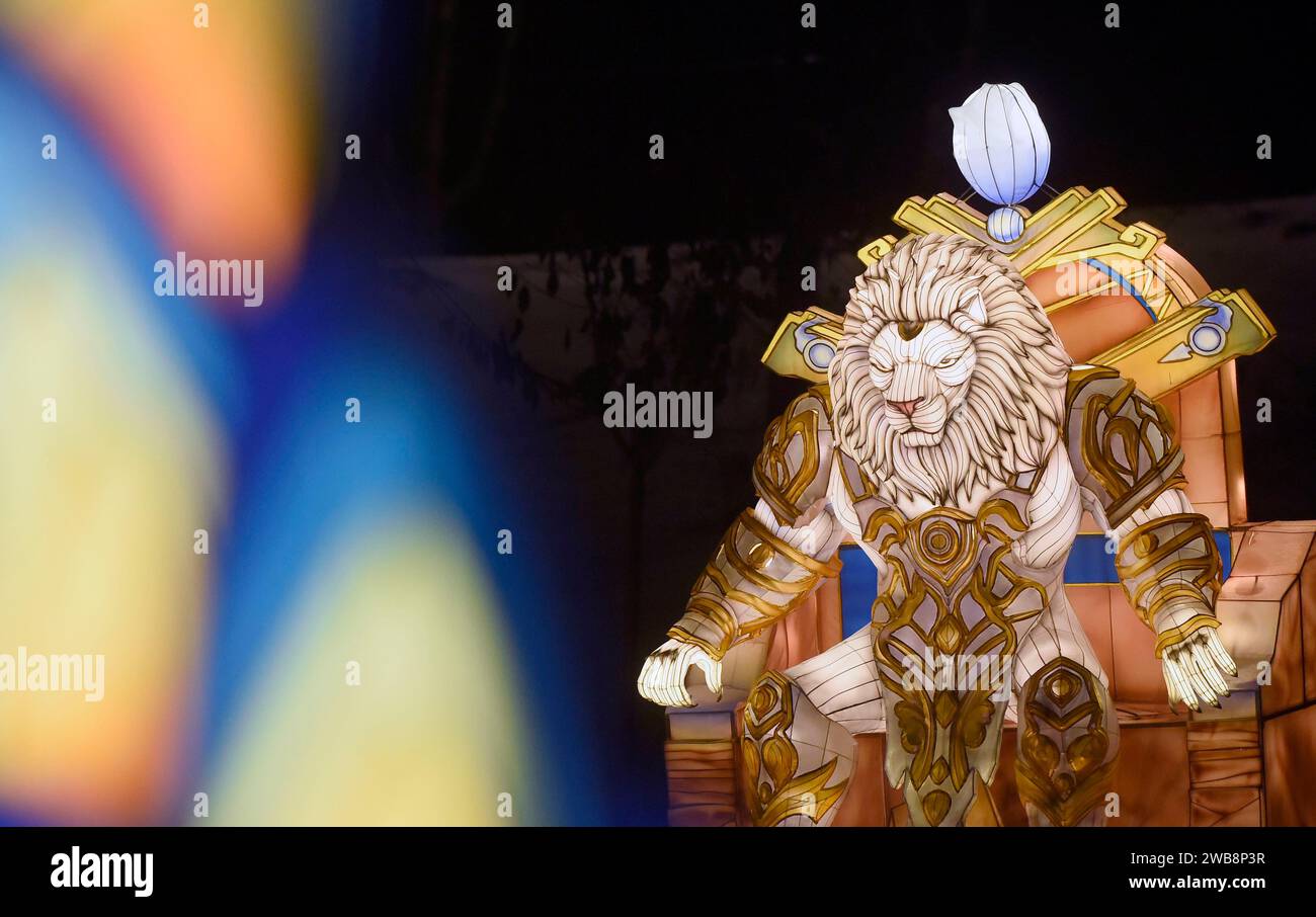 Non Exclusive: KYIV, UKRAINE - JANUARY 06, 2024 - A lion king ...