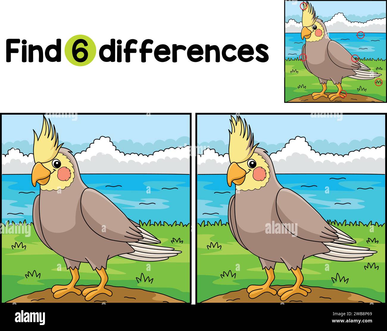 Cockatiel Animal Find The Differences Stock Vector Image & Art - Alamy