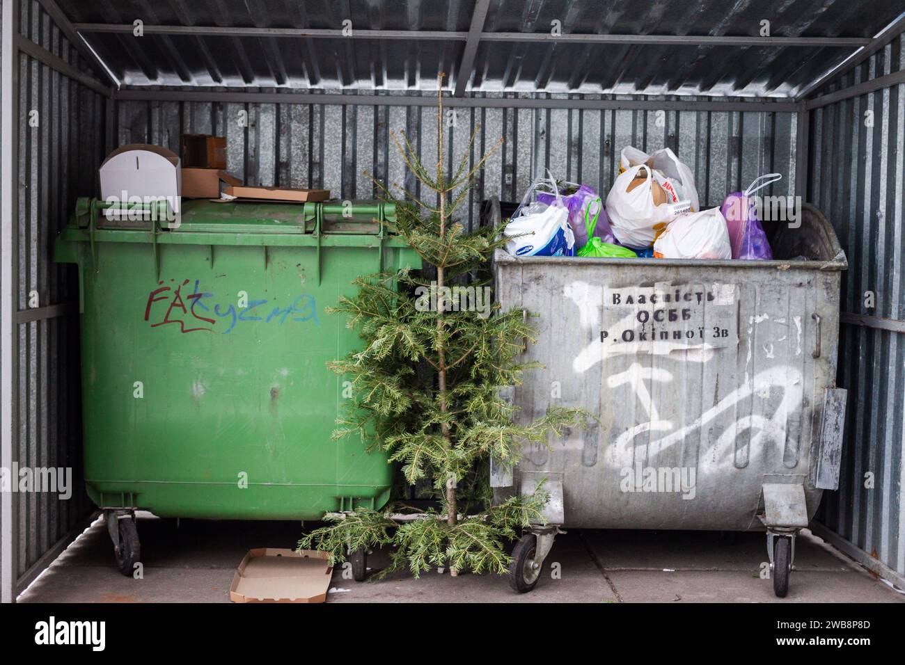 Non Exclusive: KYIV, UKRAINE - JANUARY 07, 2024 - Christmas tree dumped ...