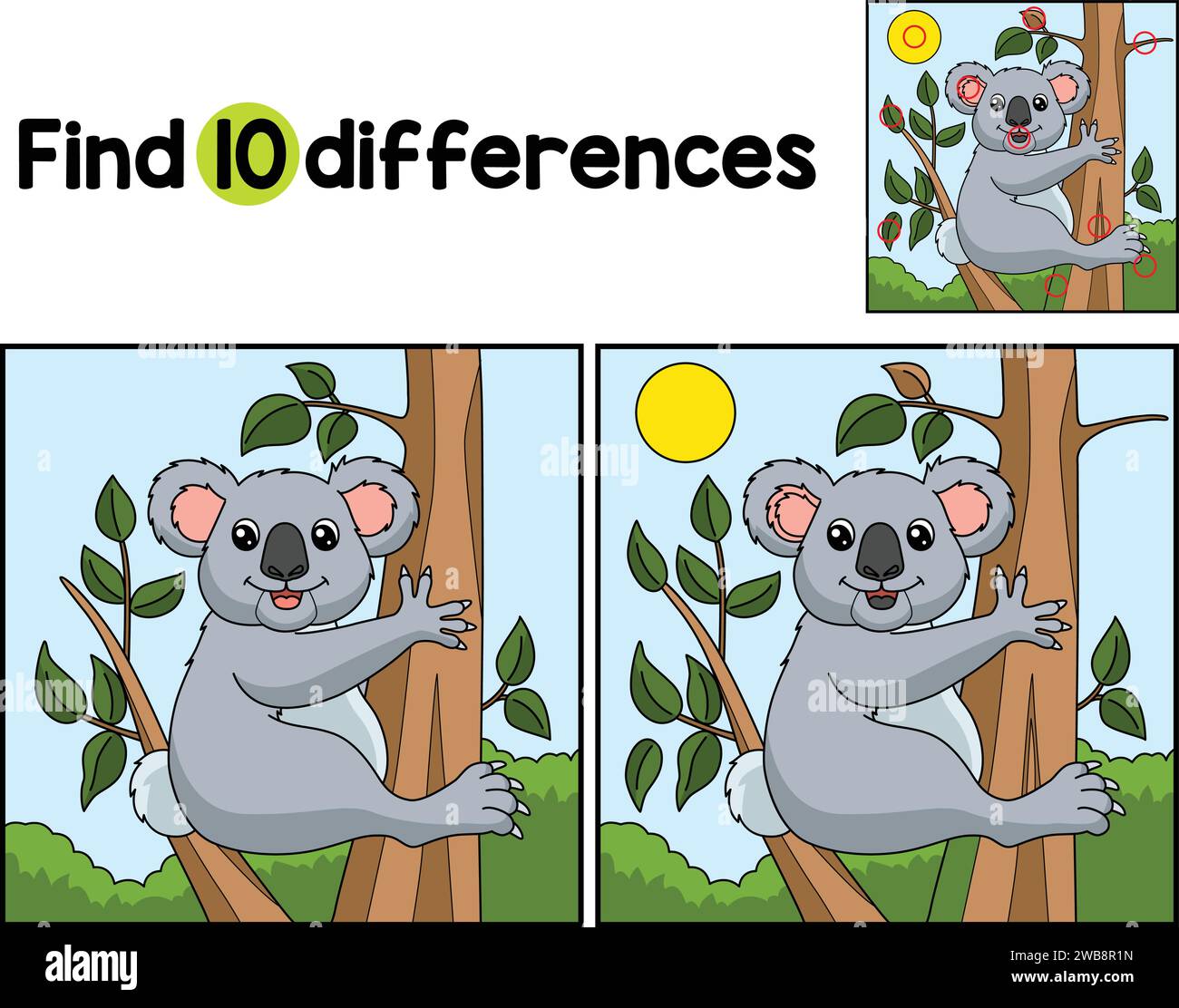 Koala Animal Find The Differences Stock Vector Image & Art - Alamy