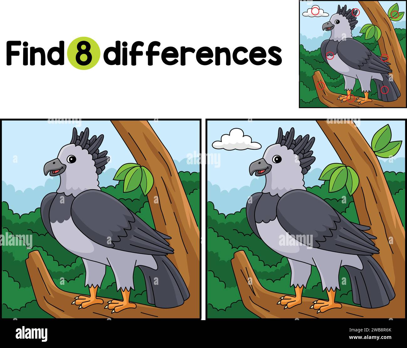 Harpy Eagle Animal Find The Differences Stock Vector Image & Art - Alamy