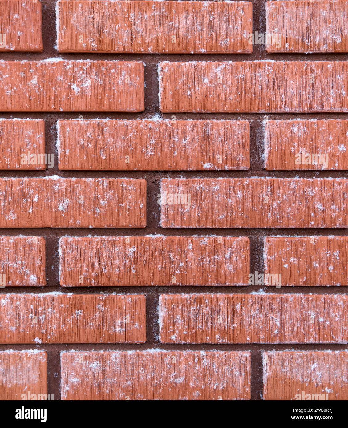 Abstract Background Panorama. Winter Landscape with Fresh Snow. Snow ...
