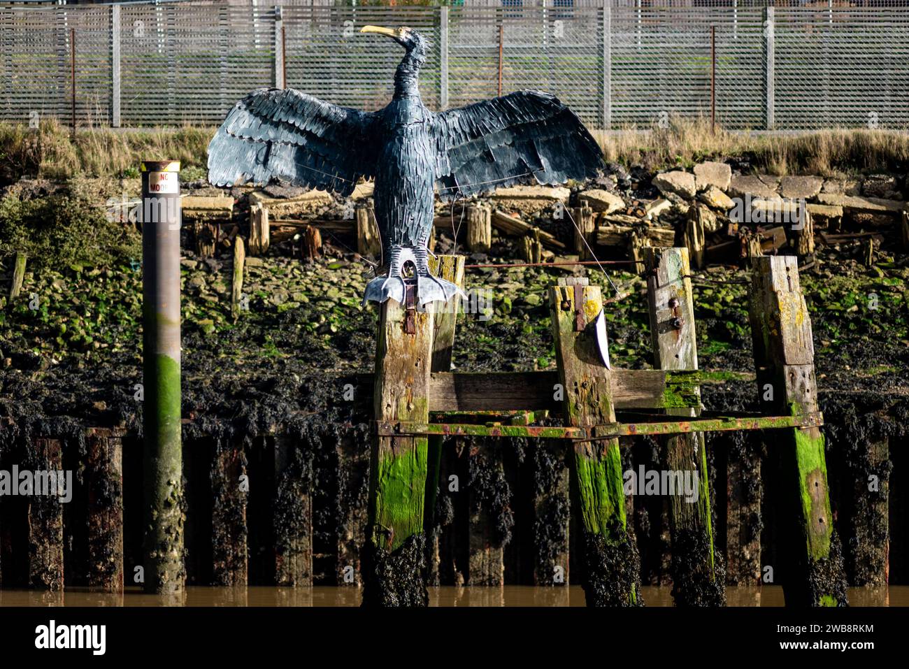 Newhaven, January 6th 2024: The Cormorant Statue in the River Ouse ...