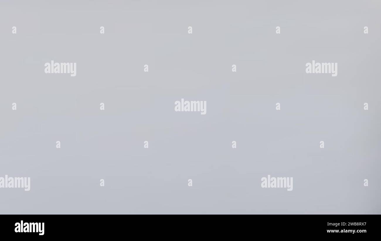 Grey gradient background vector. White gradient studio illustration ...