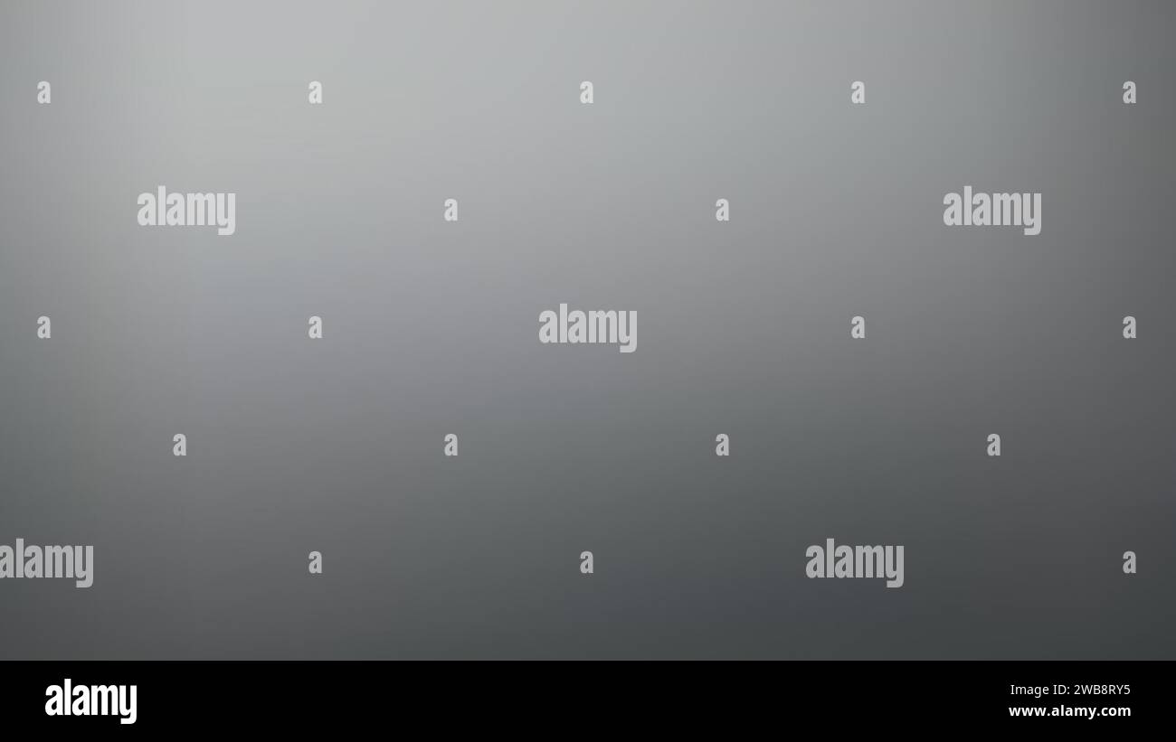 Grey gradient background vector. White gradient studio illustration ...