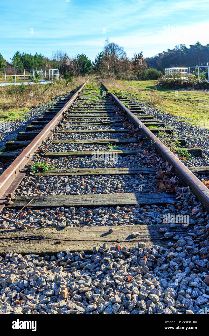 Low angle perspective of train tracks towards a bridge with trees in ...