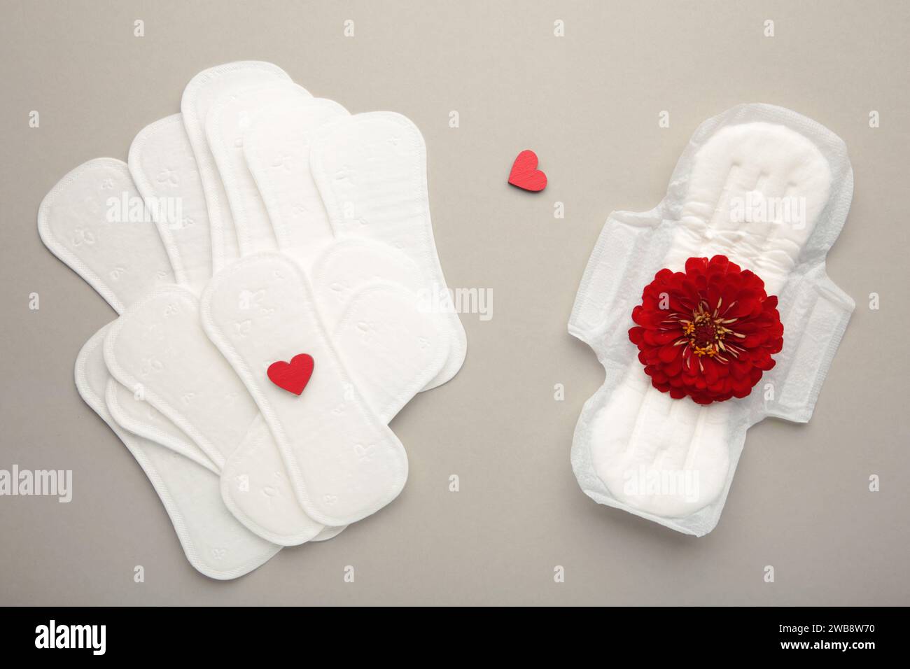 Menstrual pads on a grey background. A rose flower lies on a menstrual ...