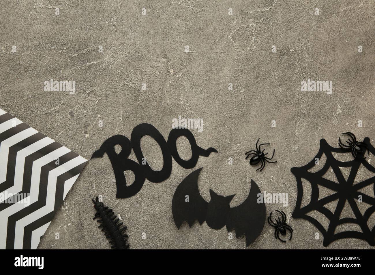 Spiders and bats top view hi-res stock photography and images - Alamy