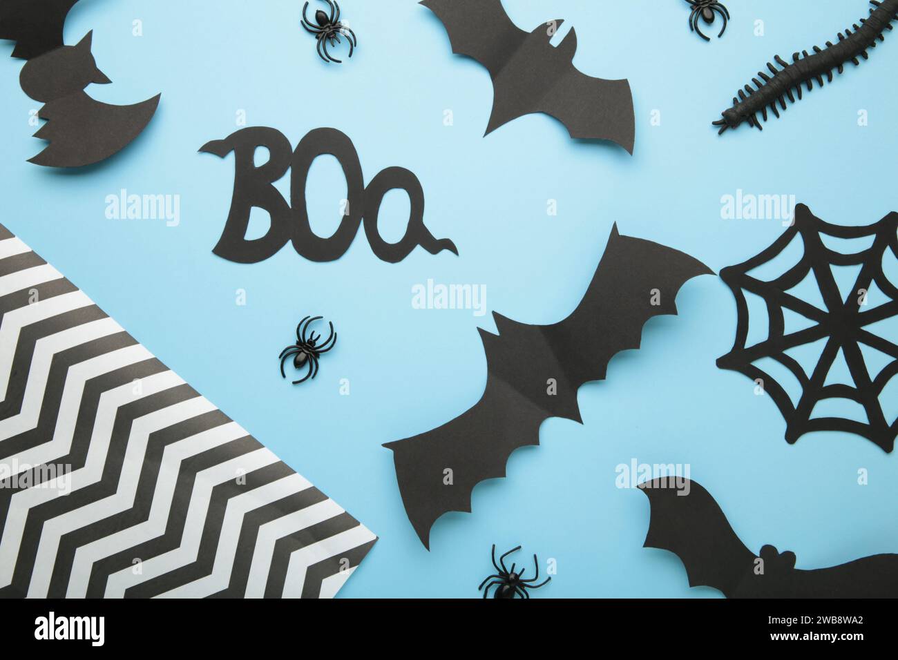 Spiders and bats top view hi-res stock photography and images - Alamy