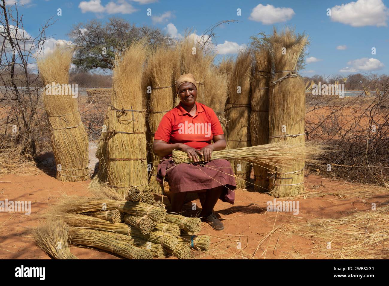 thatch work , portrait of a village african woman , making bundles to ...