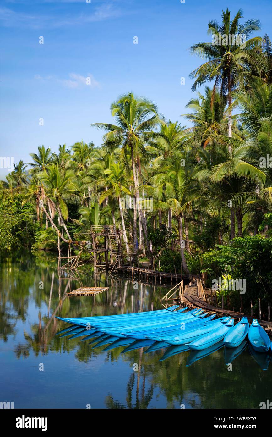 A scenic view of boats moored at Maasin Bridge, Siargao Island ...