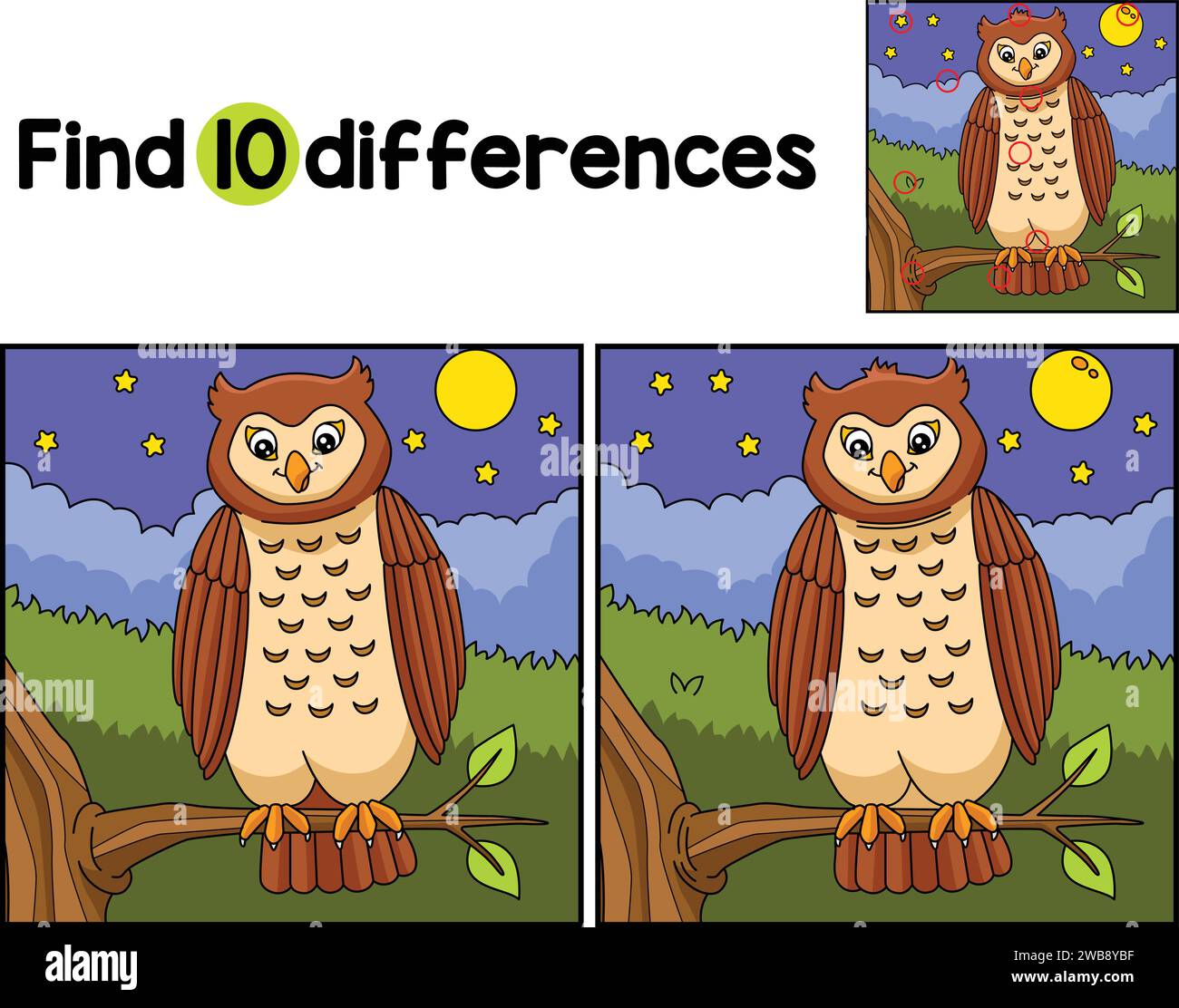 Owl Animal Find The Differences Stock Vector Image & Art - Alamy