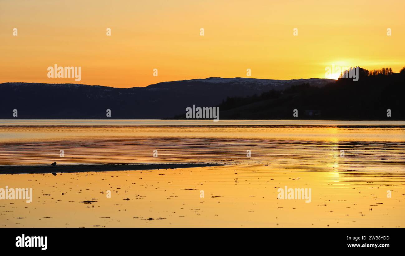 View of the Trondheim fjord and the beach Oesanden, Gaulosen nature ...