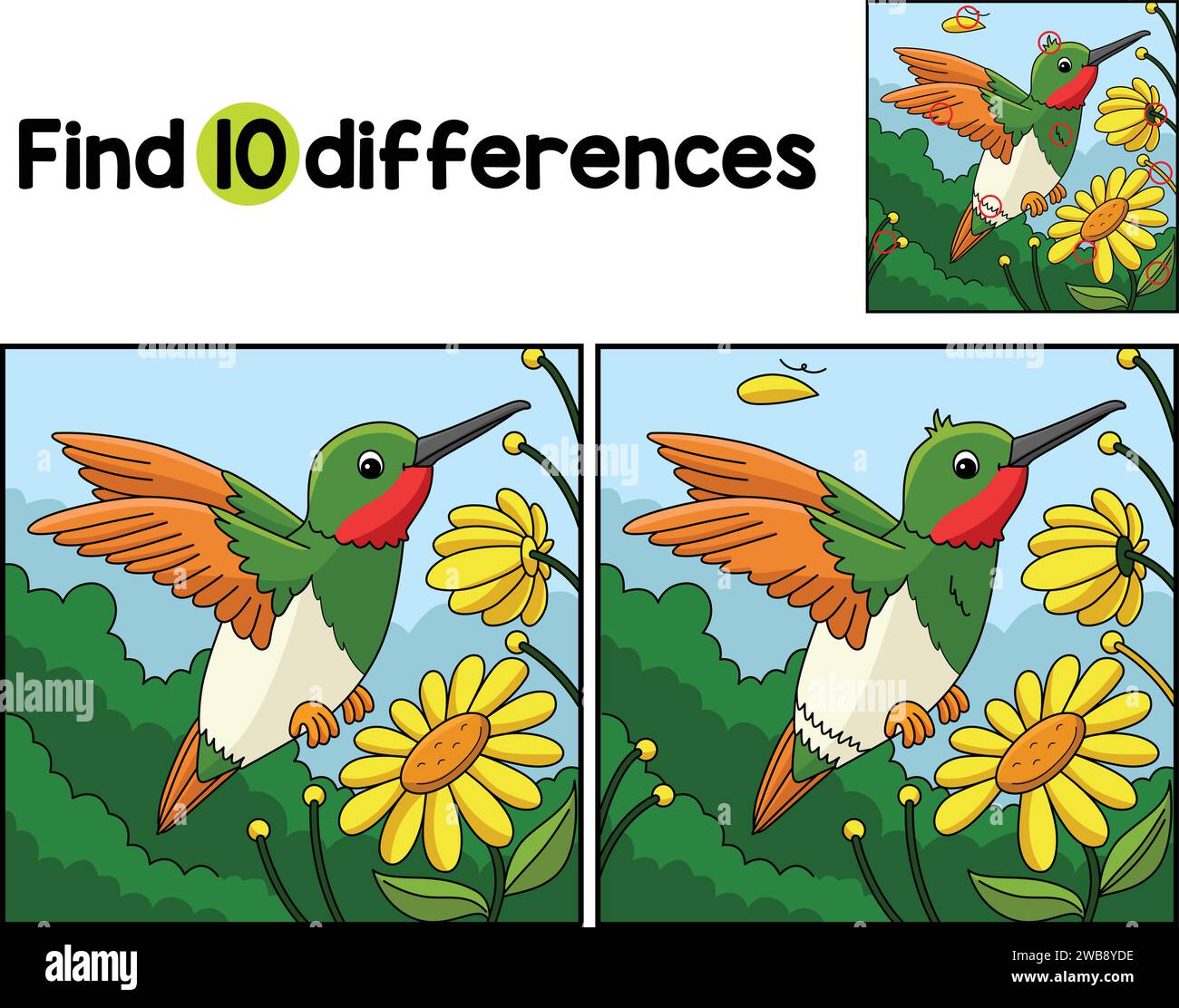 Hummingbird Animal Find The Differences Stock Vector Image & Art - Alamy