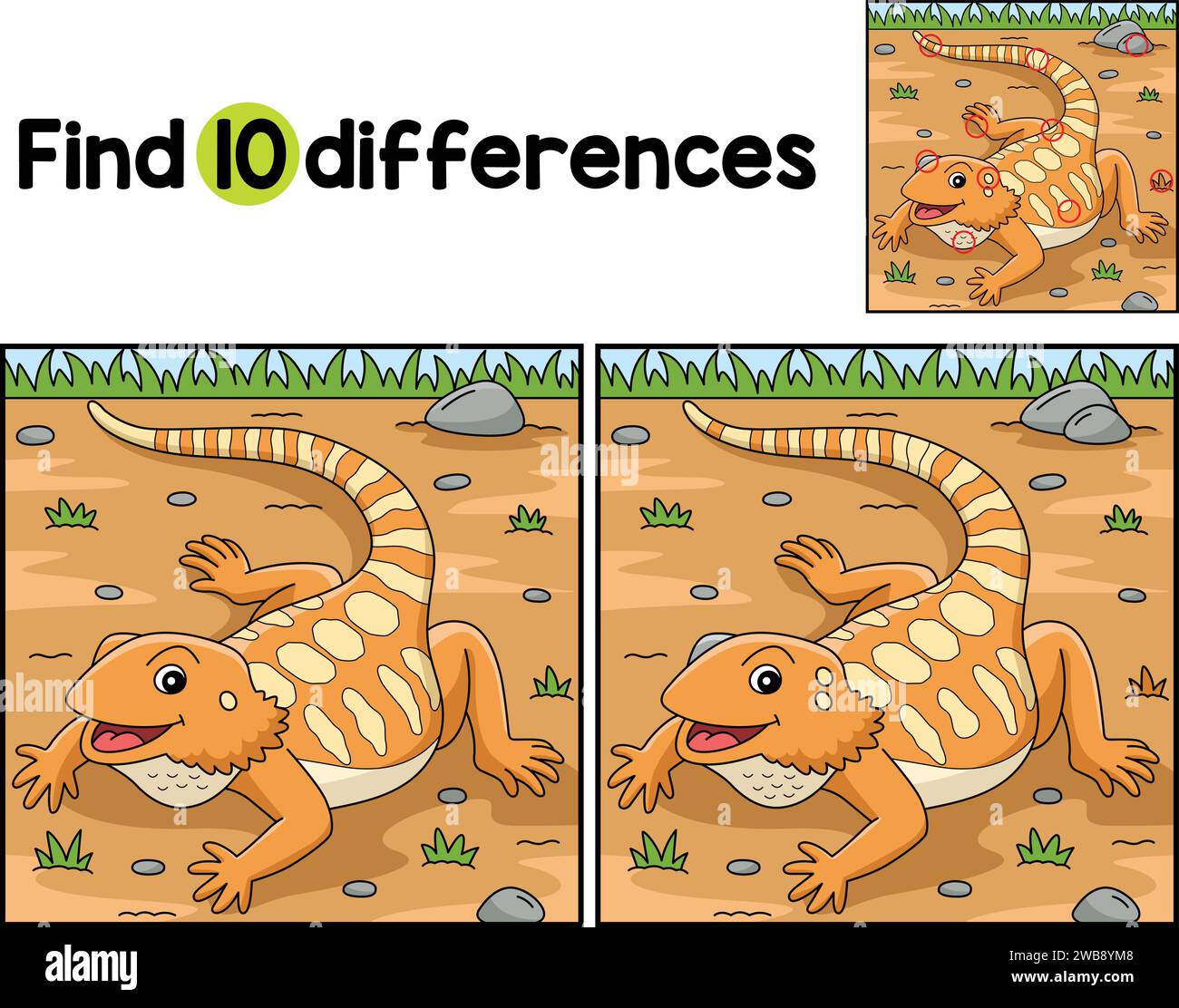 Bearded Dragon Animal Find The Differences Stock Vector Image & Art - Alamy