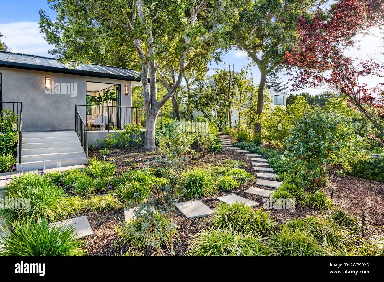 An outdoor scene featuring a backyard with lush green grass and trees ...