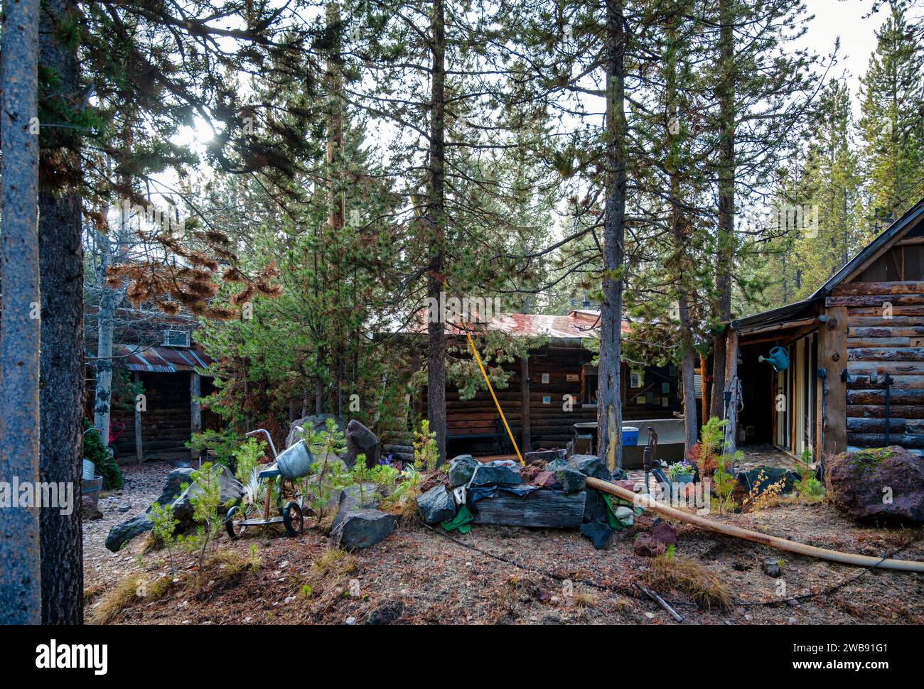 A rustic log cabin in the woods. High Desert, Oregon, USA Stock Photo ...