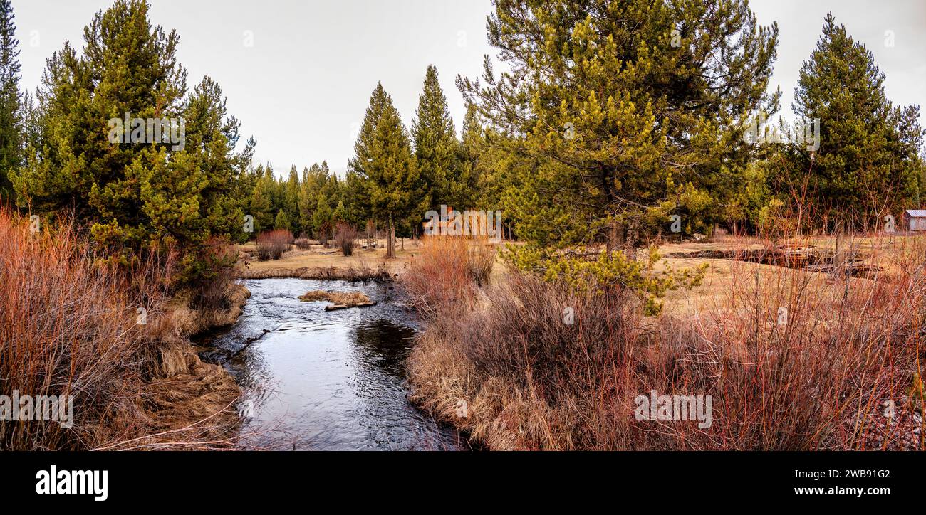 A beautiful landscape with a creek meandering through a lush grassy ...