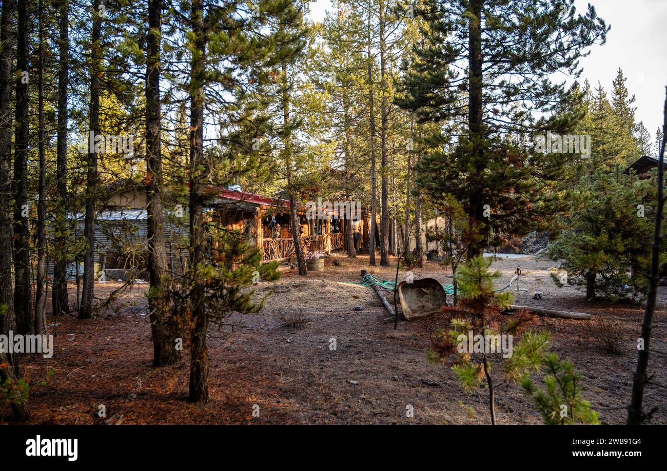 A rustic log cabin in the woods. High Desert, Oregon, USA Stock Photo ...